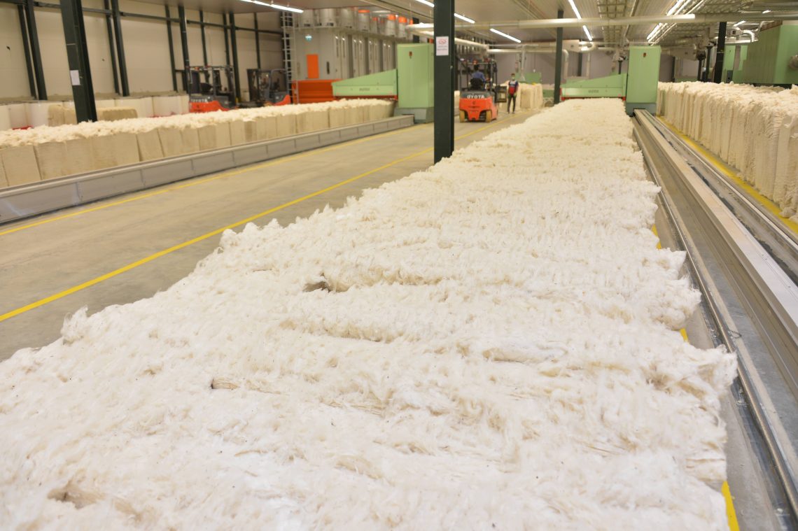 About Us | TAYAL, S.P.A